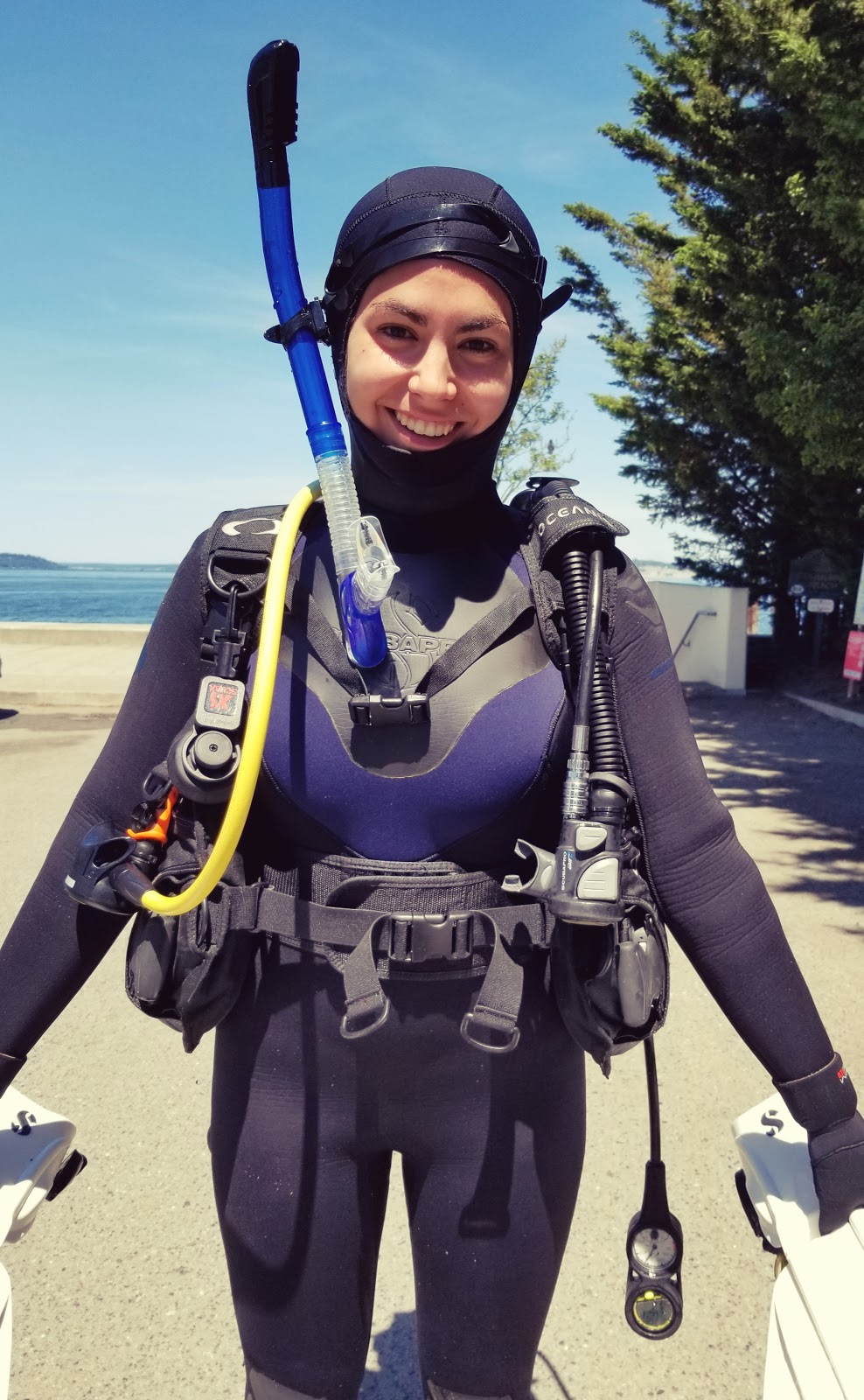 September 2020 Blog | Marine Mammal Ecology Lab | Western Washington ...