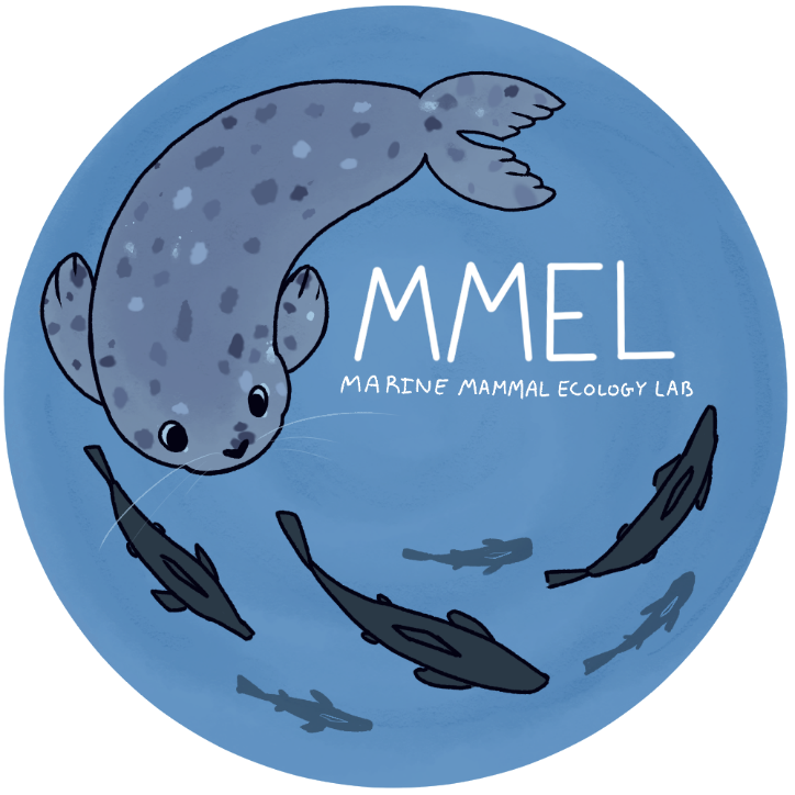 December 2022 Blog | Marine Mammal Ecology Lab | Western Washington ...