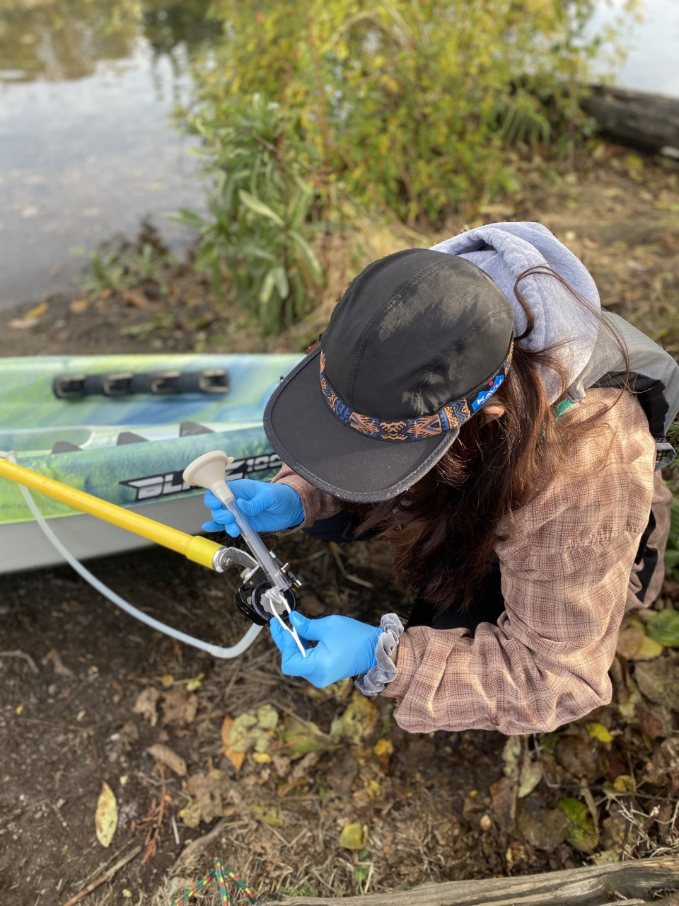 December 2022 Blog | Marine Mammal Ecology Lab | Western Washington ...