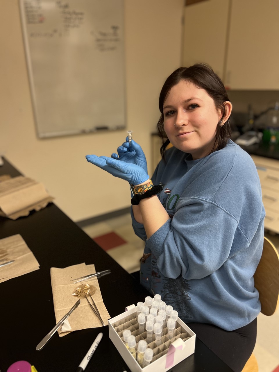 February 2023 Blog | Marine Mammal Ecology Lab | Western Washington ...