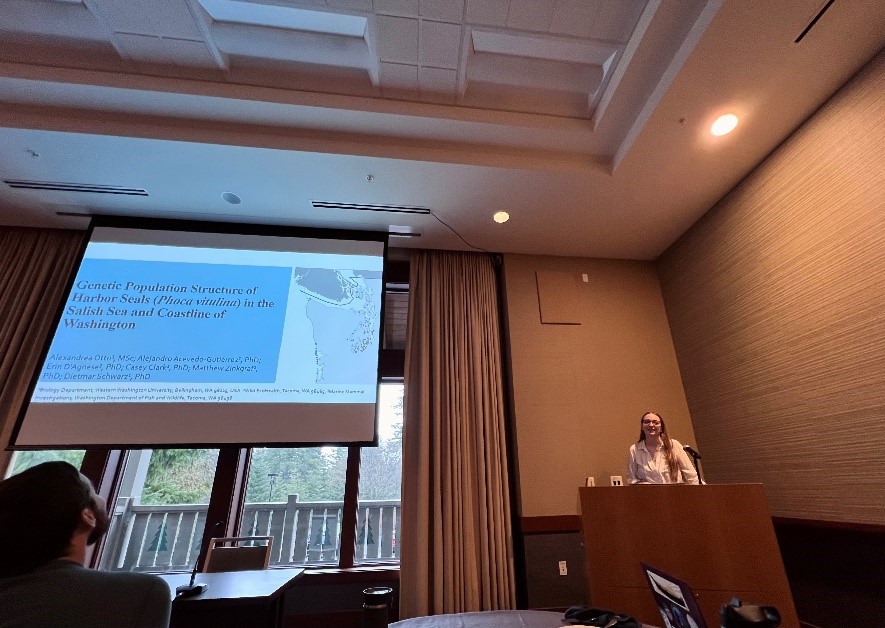 Current Blogs | Marine Mammal Ecology Lab | Western Washington University