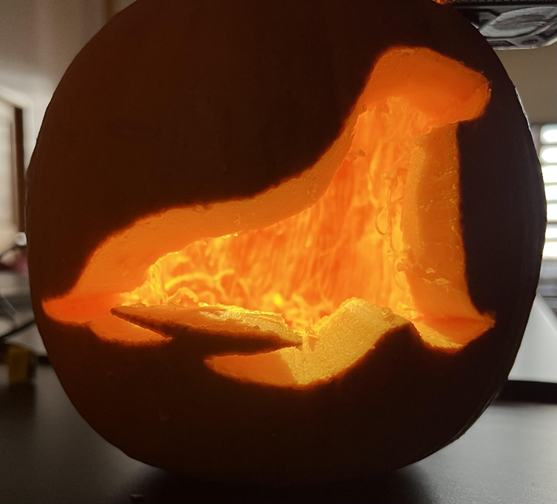 November 2022 Blog | Marine Mammal Ecology Lab | Western Washington ...